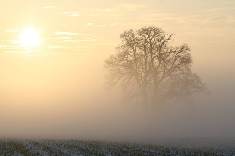 Frio intenso e El Niño: saiba como será o clima em junho no Brasil ...